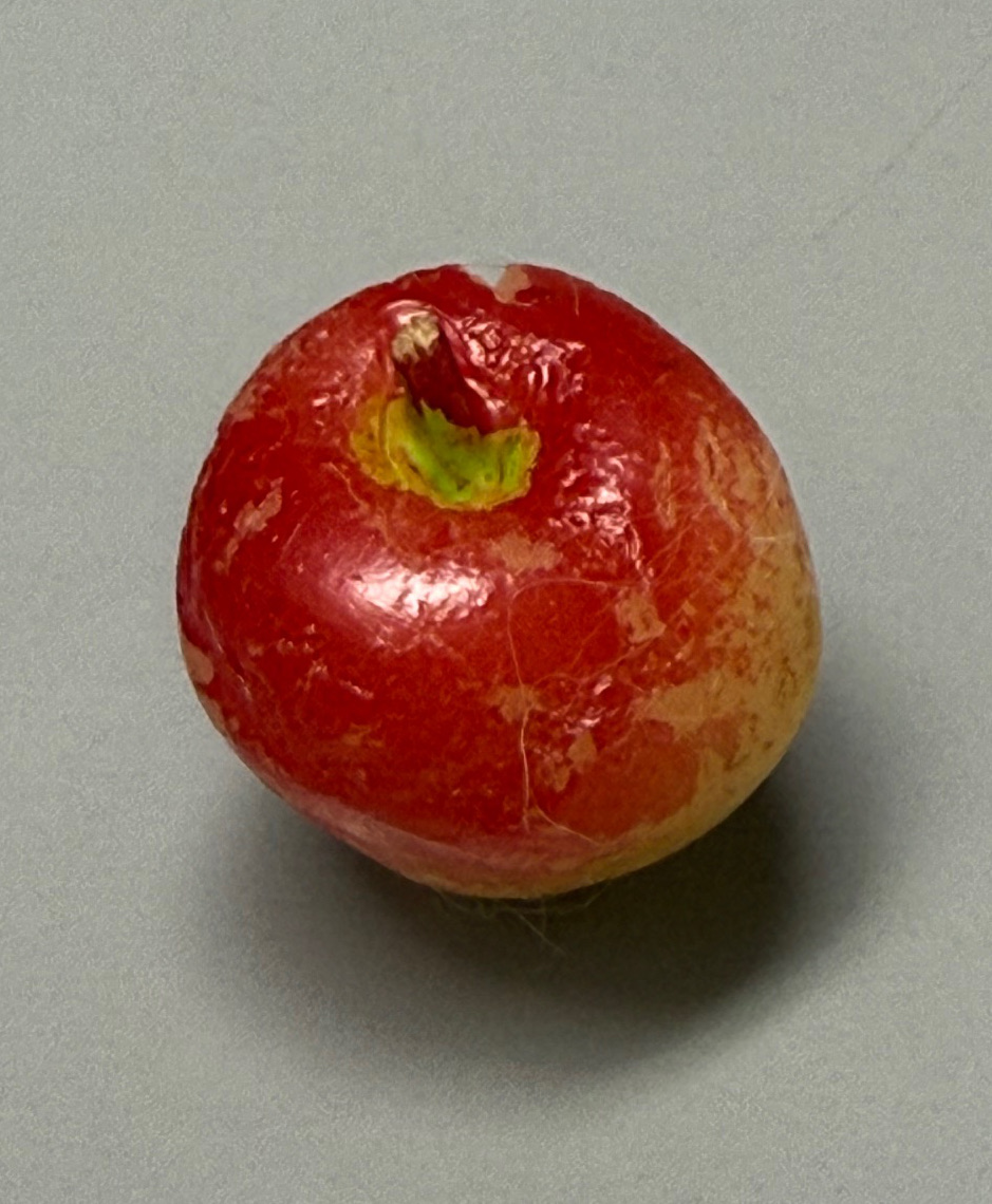 Vintage #973 Sweet Dreams Barbie Fashion APPLE ONLY – Doll Peddlar