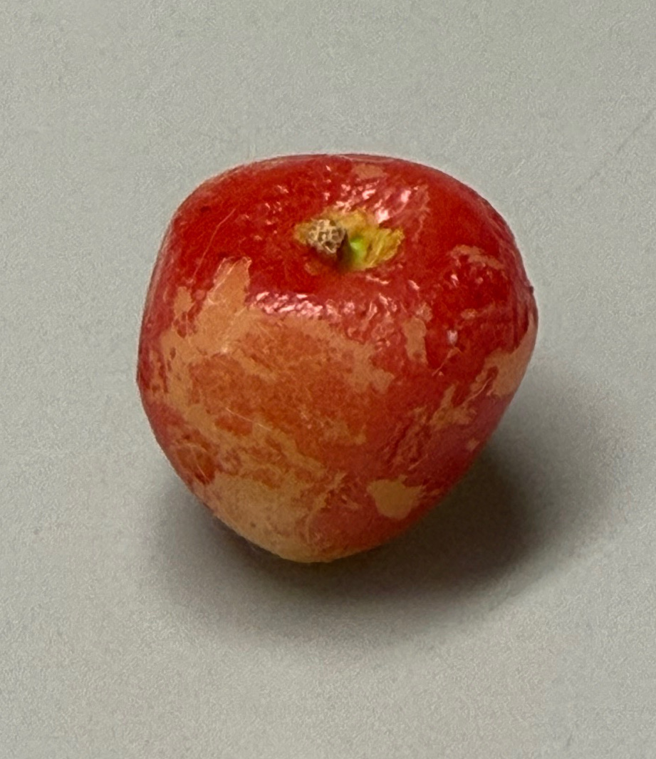 Vintage #973 Sweet Dreams Barbie Fashion APPLE ONLY – Doll Peddlar
